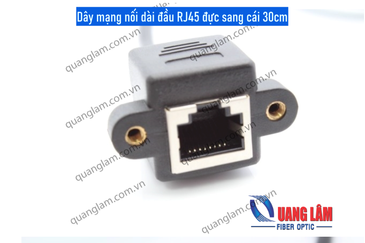 Dây mạng nối dài đầu RJ45 đực sang cái 30cm – Công ty TNHH Công Nghệ ...