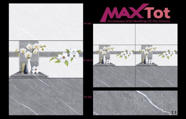 Gạch 30x60 Hacera MTM3601 MTM3601D MTM3602Gạch 30x60 Hacera MTM3601 ...