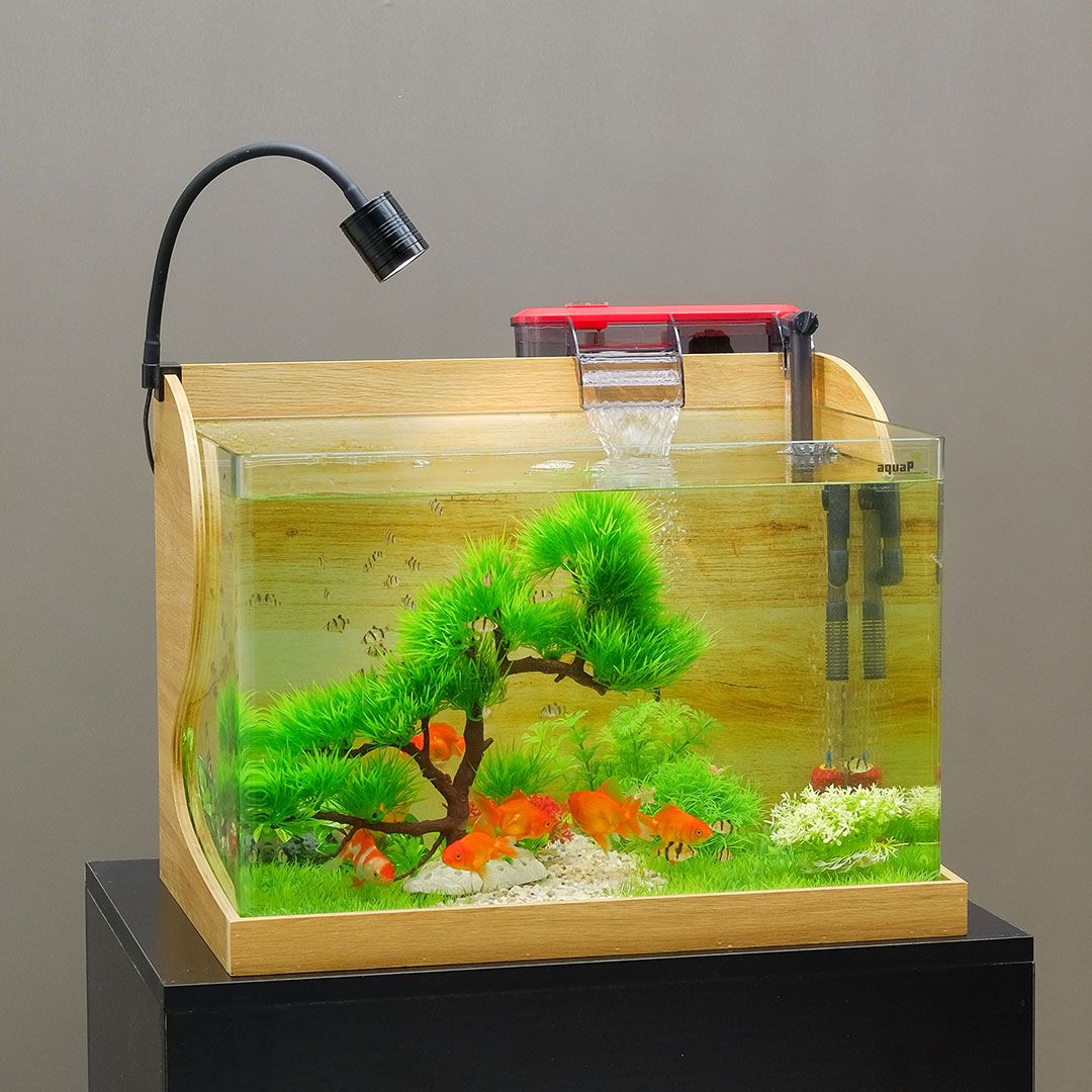 BỂ CÁ ĐỂ BÀN CAO CẤP AQUAP - SIZE LỚN VIP - TRỌN BỘ CHÍNH HÃNG AQUAP ...