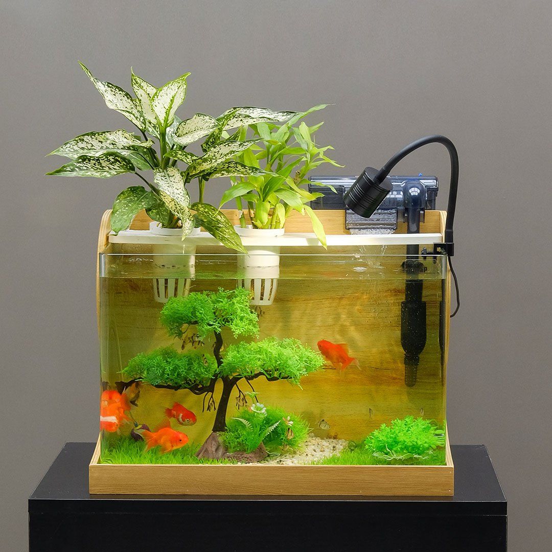 BỂ CÁ ĐỂ BÀN KHUNG GỖ CHỐNG NƯỚC AQUAP - SIZE LỚN (42CM)– AQUAP FUNITURE