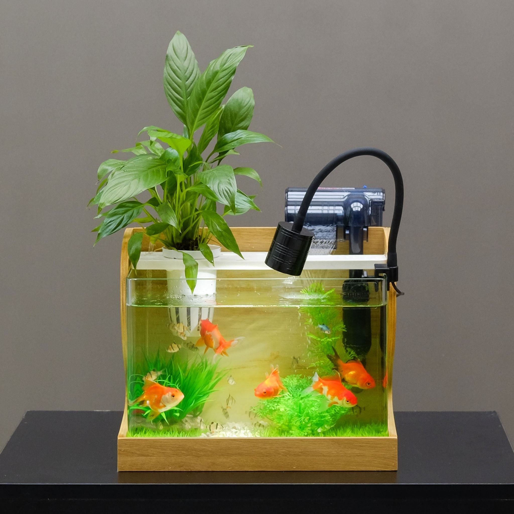 BỂ CÁ MINI ĐỂ BÀN - TRỌN BỘ CHÍNH HÃNG AQUAP– AQUAP FUNITURE