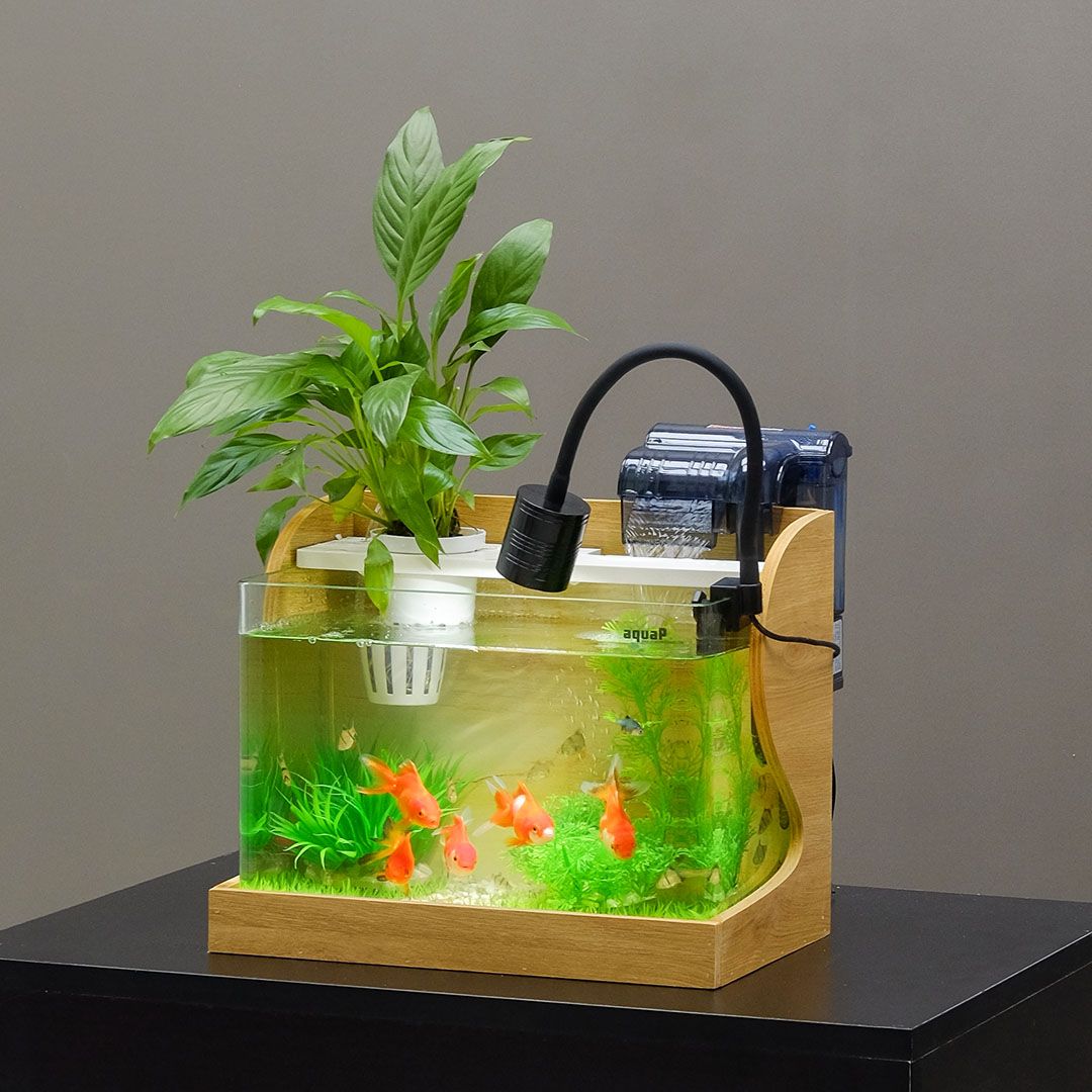 BỂ CÁ MINI ĐỂ BÀN - TRỌN BỘ CHÍNH HÃNG AQUAP– AQUAP FUNITURE