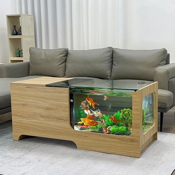 Bàn trà bể cá aquap bộ tiêu chuẩn, màu vàng sồi: Hiện đại & mới lạ ...