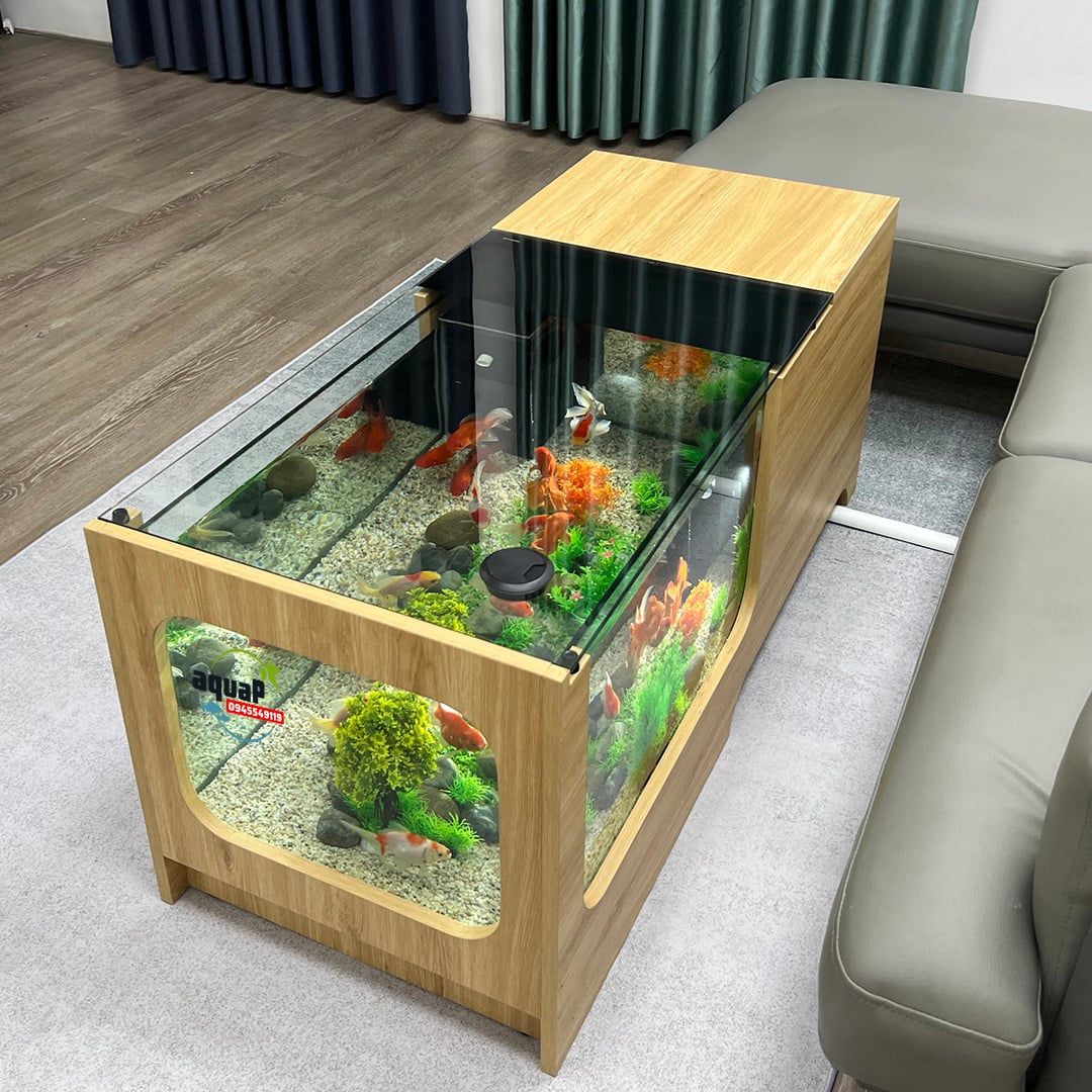 Bàn trà bể cá aquap bộ tiêu chuẩn, màu vàng sồi: Hiện đại & mới lạ ...