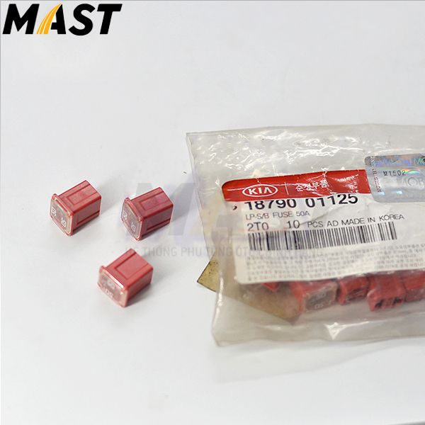 Cầu chì 50A – MAST