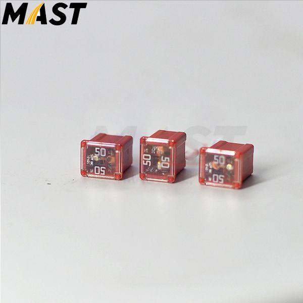 Cầu chì 50A – MAST