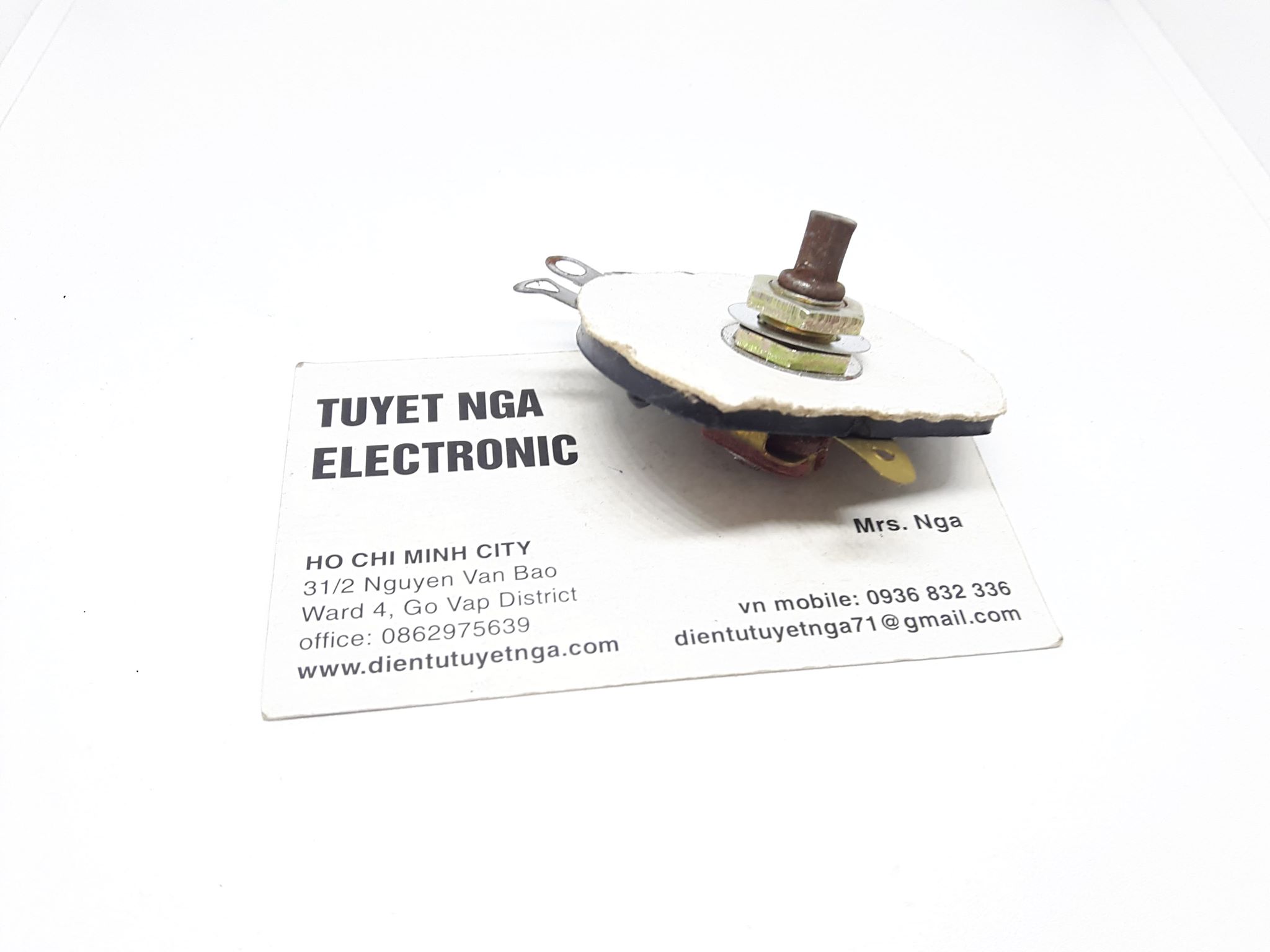 Genlet Lớn – ĐIỆN TỬ TUYẾT NGA