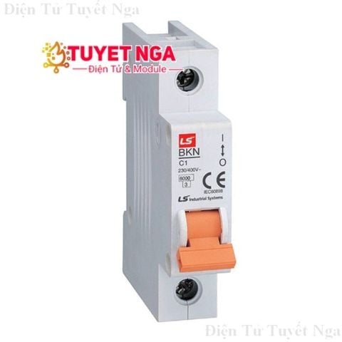 BKN LS MCB 2P 10A CB Tép – ĐIỆN TỬ TUYẾT NGA