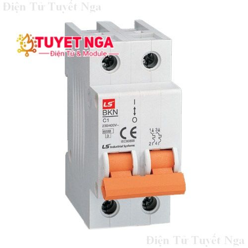 BKN LS MCB 2P 10A CB Tép – ĐIỆN TỬ TUYẾT NGA