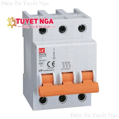 BKN LS MCB 2P 10A CB Tép – ĐIỆN TỬ TUYẾT NGA
