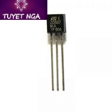 Z0607 – ĐIỆN TỬ TUYẾT NGA