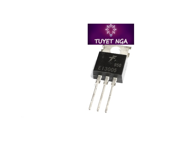 E13005 – ĐIỆN TỬ TUYẾT NGA