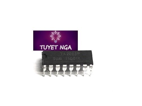 TA2003 – ĐIỆN TỬ TUYẾT NGA