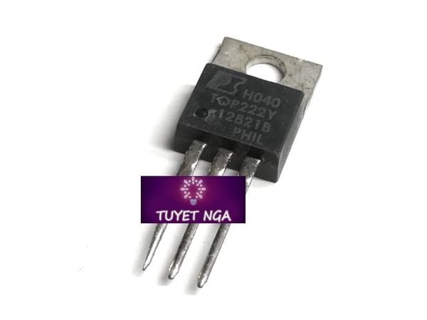 TOP222Y – ĐIỆN TỬ TUYẾT NGA