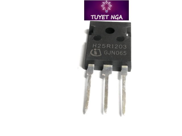 H25R1203 – ĐIỆN TỬ TUYẾT NGA