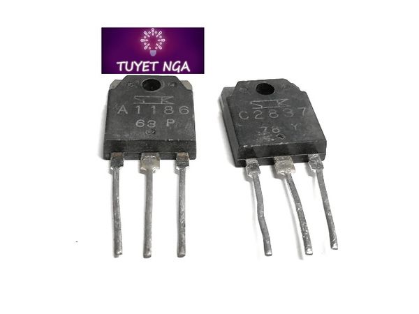 A1186 + C2837 – ĐIỆN TỬ TUYẾT NGA