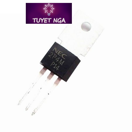 2P4M – ĐIỆN TỬ TUYẾT NGA