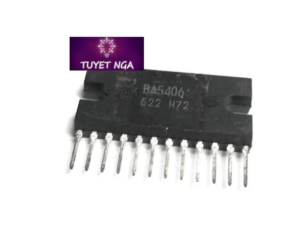 BA5406 – ĐIỆN TỬ TUYẾT NGA