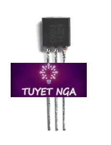 C9012 – ĐIỆN TỬ TUYẾT NGA