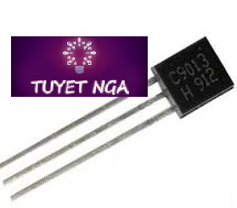 C9013 – ĐIỆN TỬ TUYẾT NGA