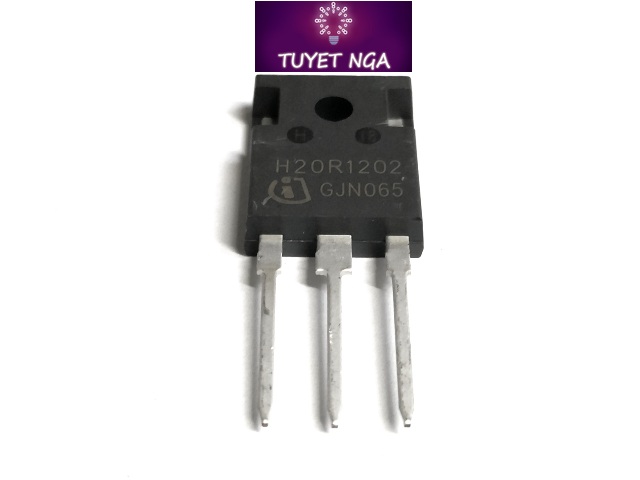 H20R1202 – ĐIỆN TỬ TUYẾT NGA