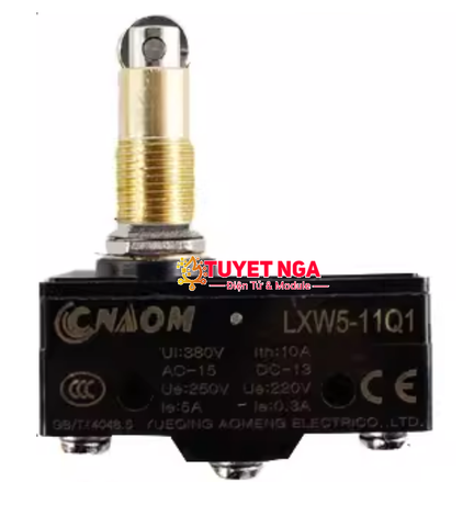 Hành Trình – ĐIỆN TỬ TUYẾT NGA