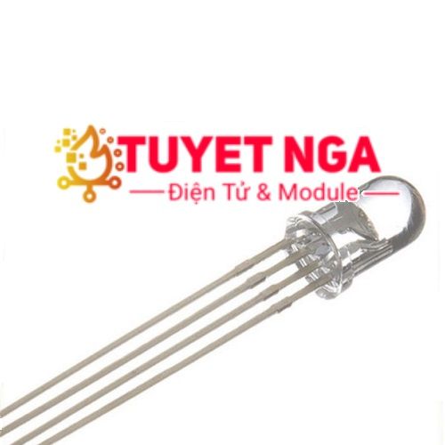 Led RGB 5mm Cathode Chung – ĐIỆN TỬ TUYẾT NGA