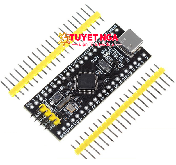 Kit STM32F103C8T6 TypeC – ĐIỆN TỬ TUYẾT NGA