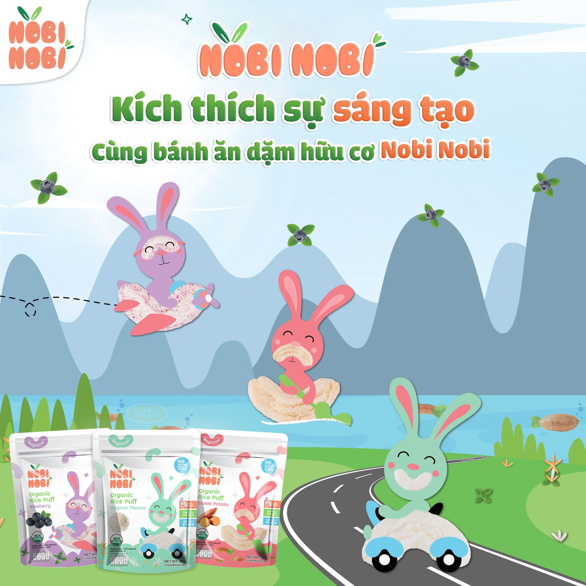 Thực phẩm bổ sung bánh gạo ăn dặm hữu cơ cho bé Nobi Nobi vị việt quất ...
