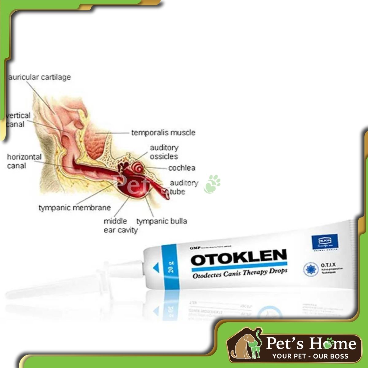 Thuốc nhỏ trị rận tai Alkin Otoklen 20g – Pet's Home