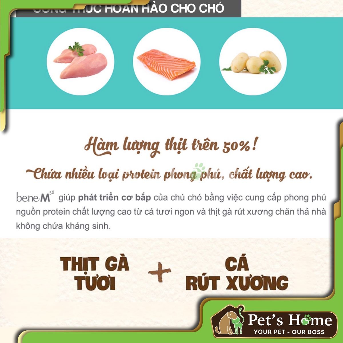 Hạt Natural Core M50 cho chó thịt gà và cá hồi 10kg – Pet's Home