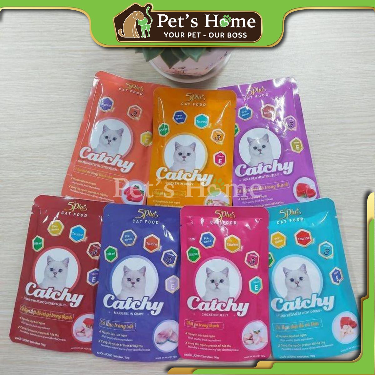 Pate 5Plus Catchy cho mèo 70g – Pet's Home
