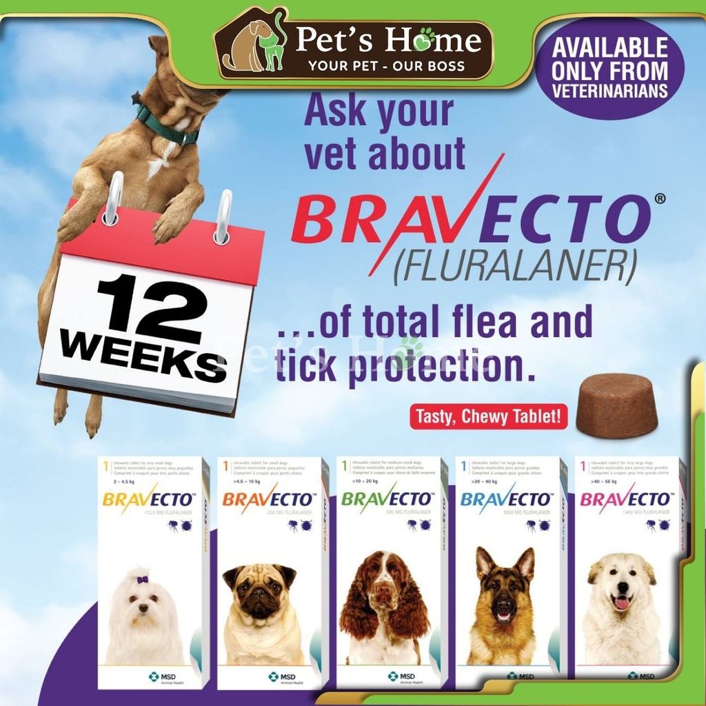 Thuốc Bravecto trị ghẻ, viêm da, ve rận cho chó – Pet's Home