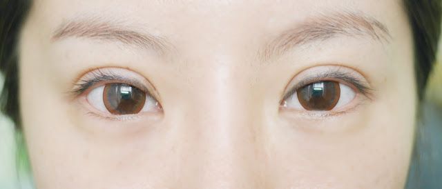 Kính áp tròng - Màu OSAKA BROWN (kính dùng 1 ngày) – Kính áp tròng Eye ...