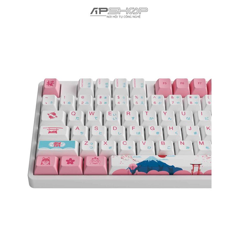 Bàn phím AKKO 5108 World Tour Tokyo R2 SP RGB Hotswap | Chính hãng ...