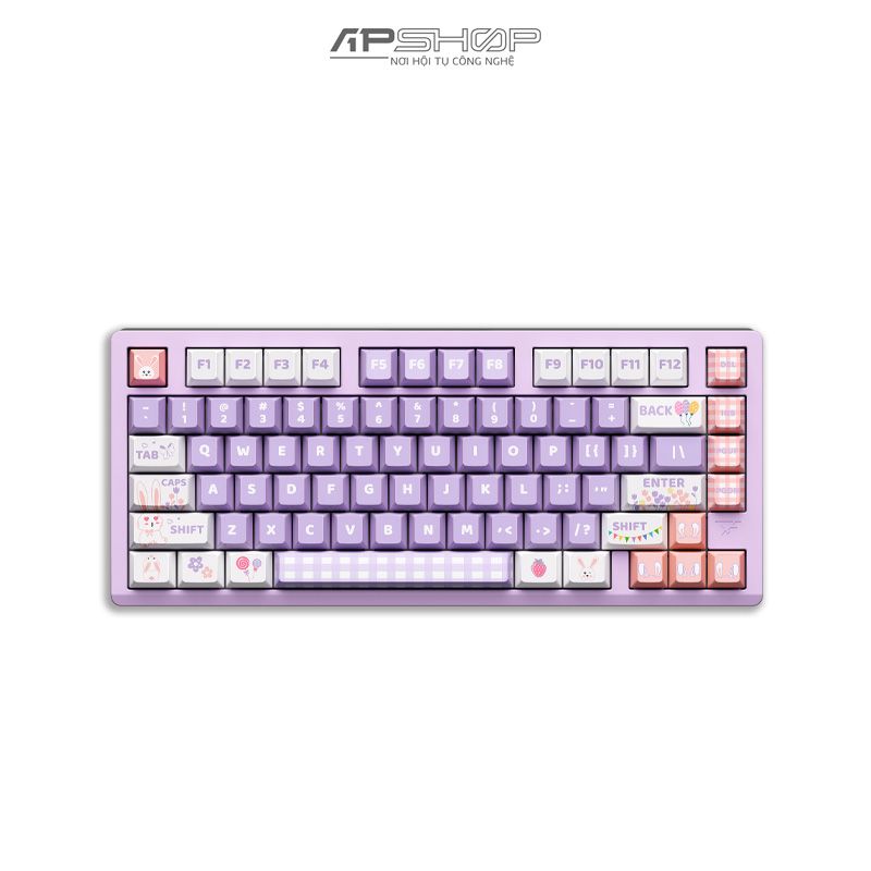 Bàn phím cơ Custom VGN VXE75 Trans Purple RGB | 80 Key | Hotswap | 3 M – APSHOP.VN