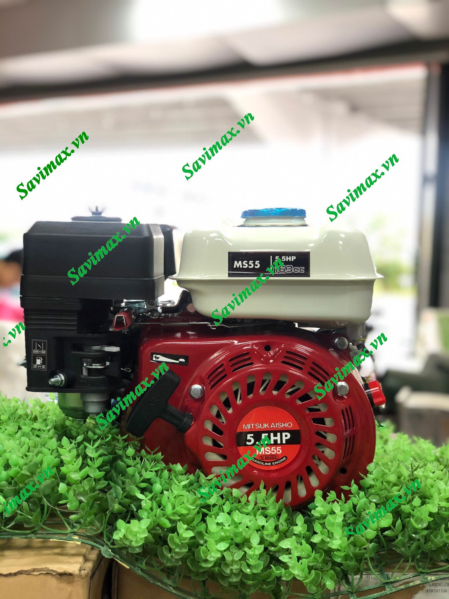 Đầu nổ Mitsukaiso MS55 - 5.5HP – Savimax.vn