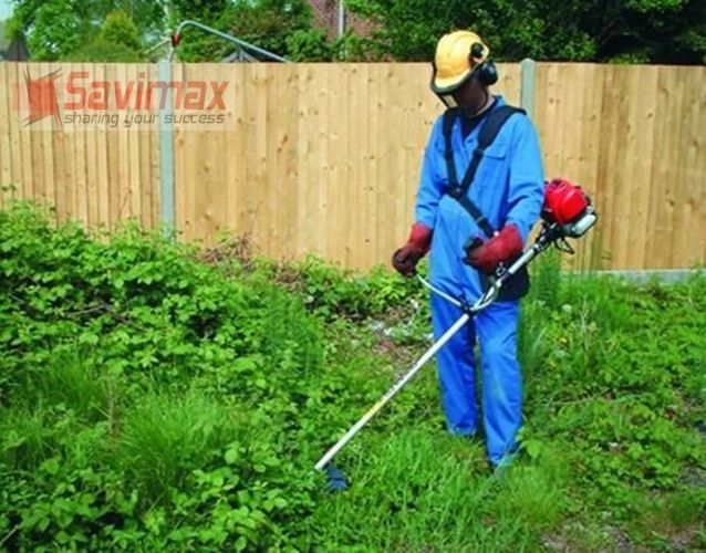 Máy cắt cỏ 4 thì Oshima T-GX 35 – Savimax.vn