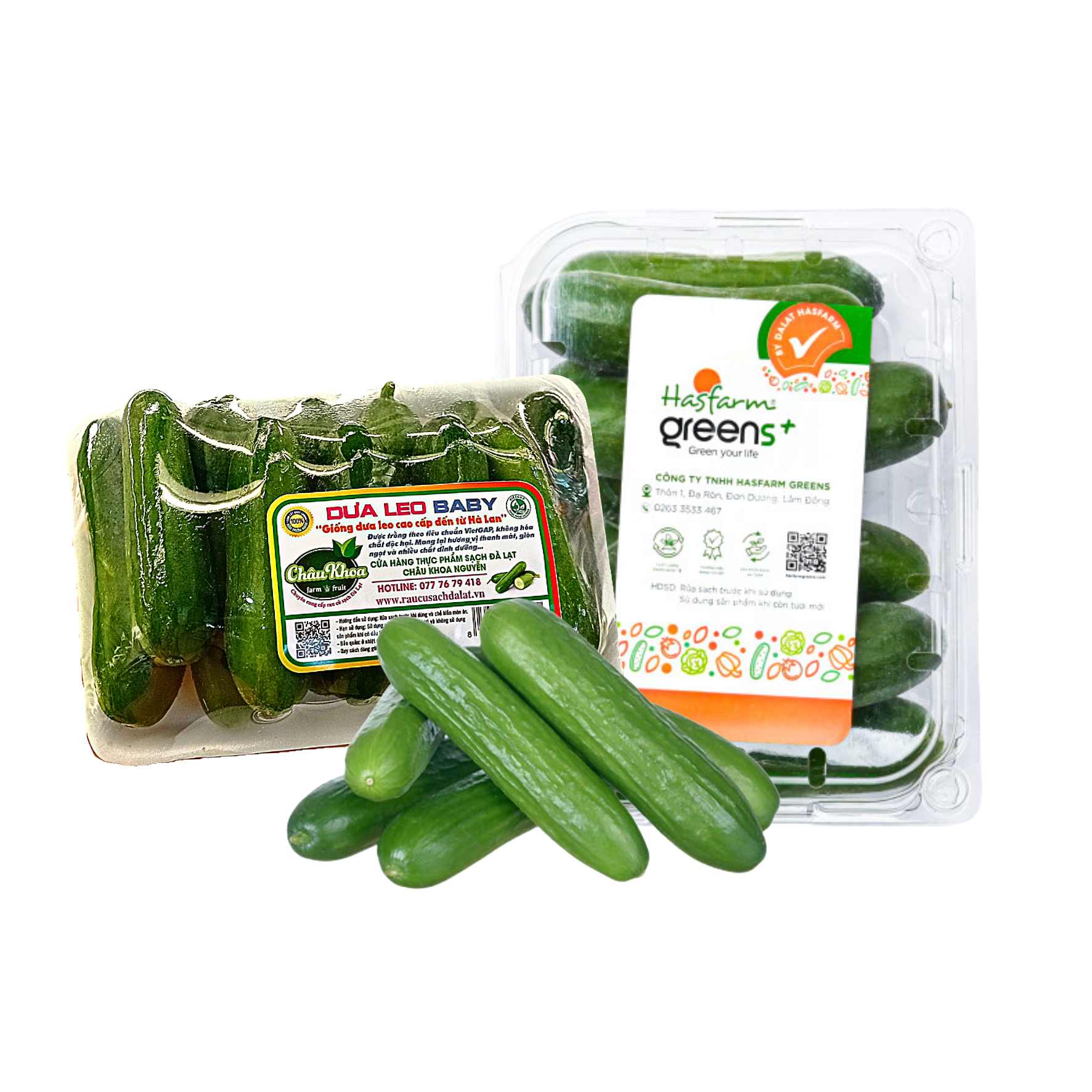 Dưa leo baby Vietgap Trường Phát 500g | Farmers Market – FARMERS MARKET
