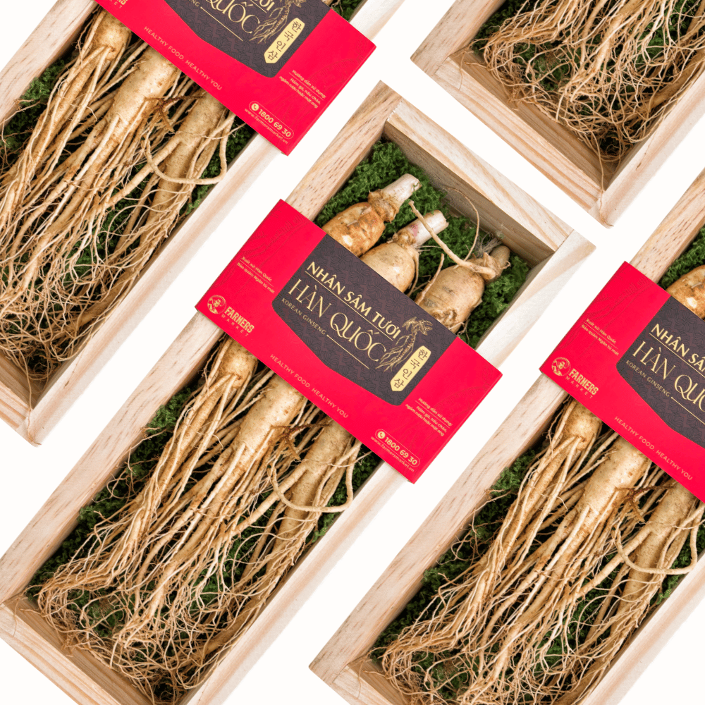 Hộp quà Nhân sâm Hàn Quốc 6 năm tuổi loại 33-55g (3củ) – FARMERS MARKET