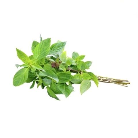 Rau Củ Quả An Toàn – FARMERS MARKET