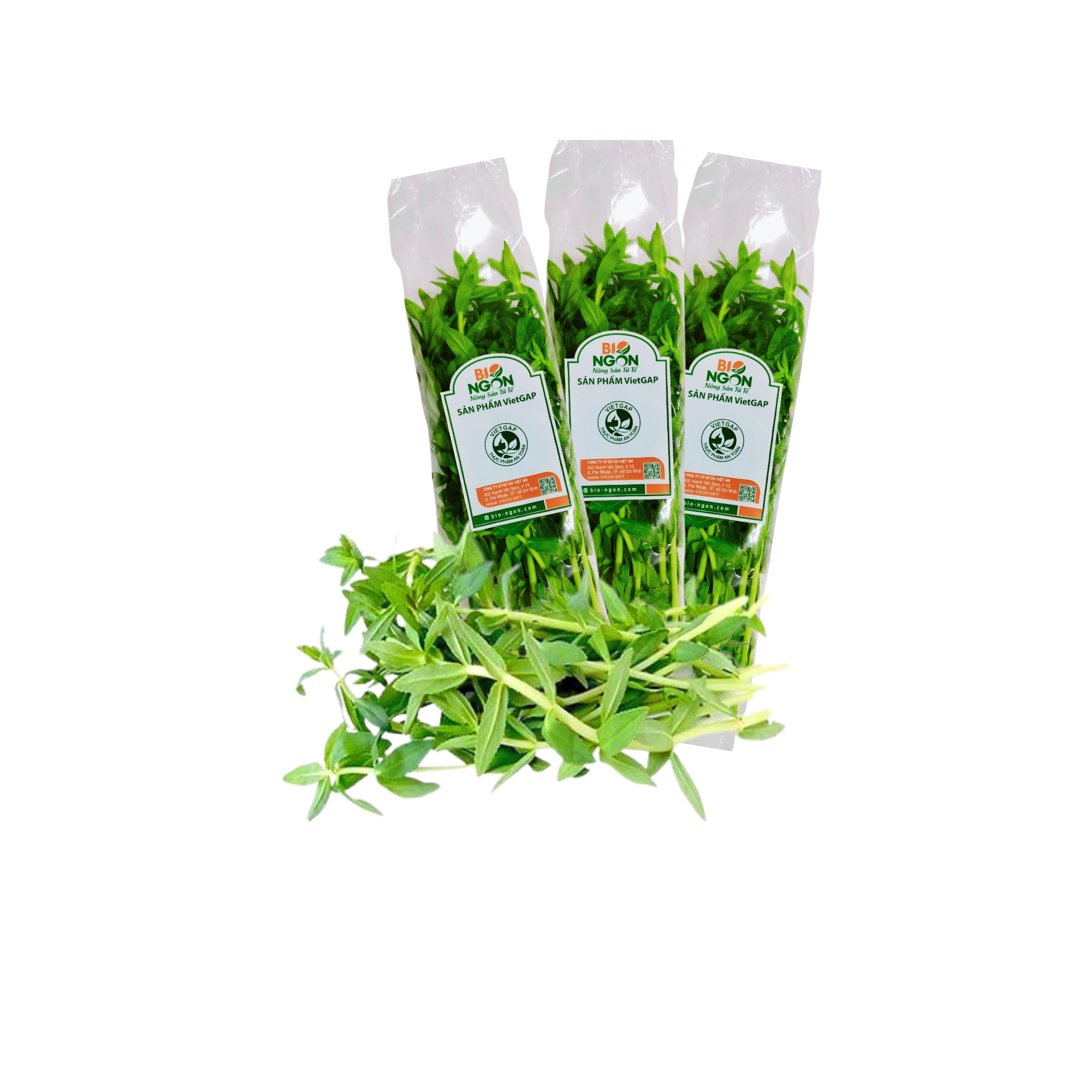 Rau om Vietgap – FARMERS MARKET