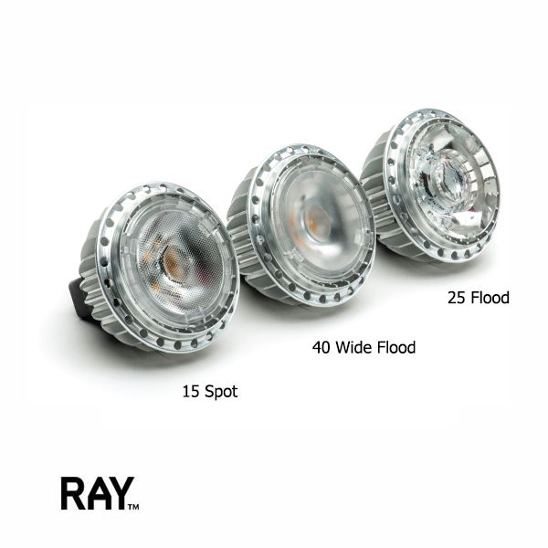 Ray – Ray Việt Nam