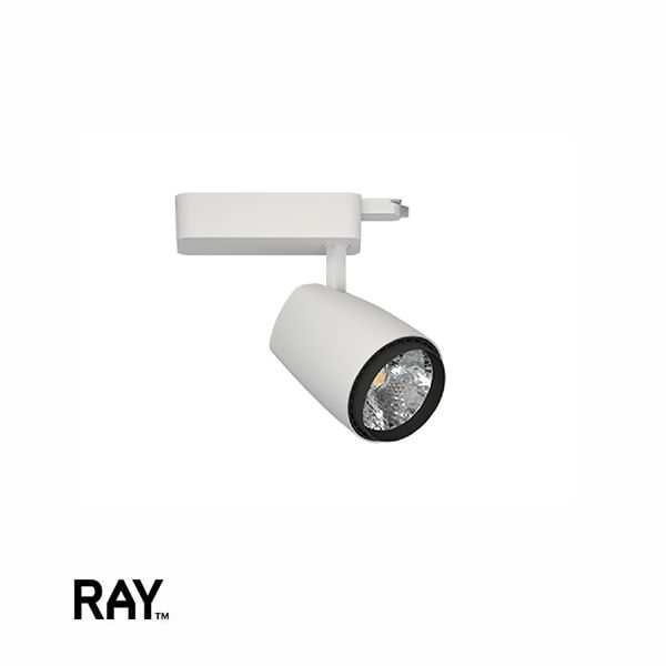 Ray – Ray Việt Nam