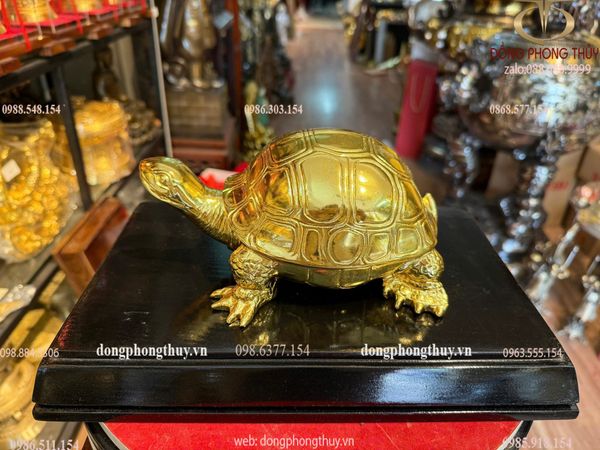 Tượng rùa bằng đồng dát vàng – Đồng Phong Thủy