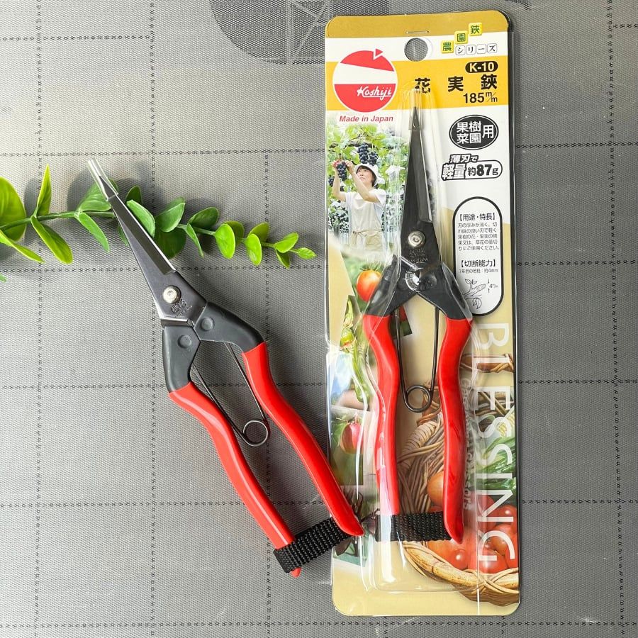 Kéo cắt cành KOSHIJI K-10 Made In Janpan, thích hợp cắt cây cảnh, tỉa – Công Ty TNHH TM & DV ...