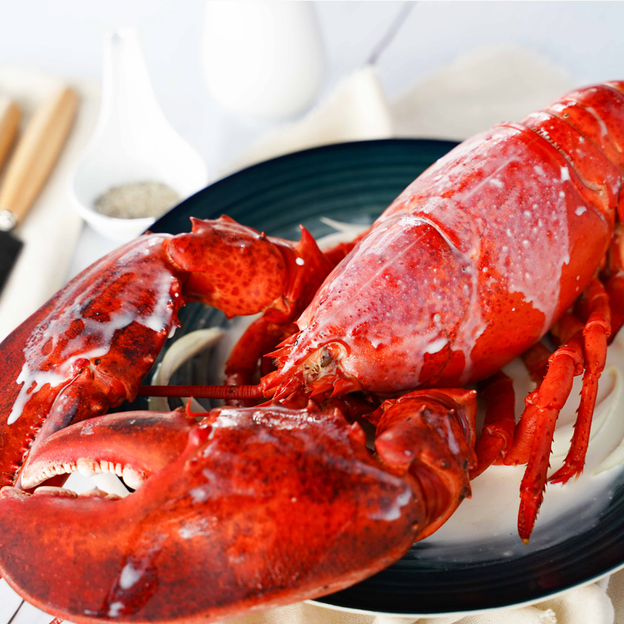 Tôm Hùm Alaska Sống – Lobster Bay