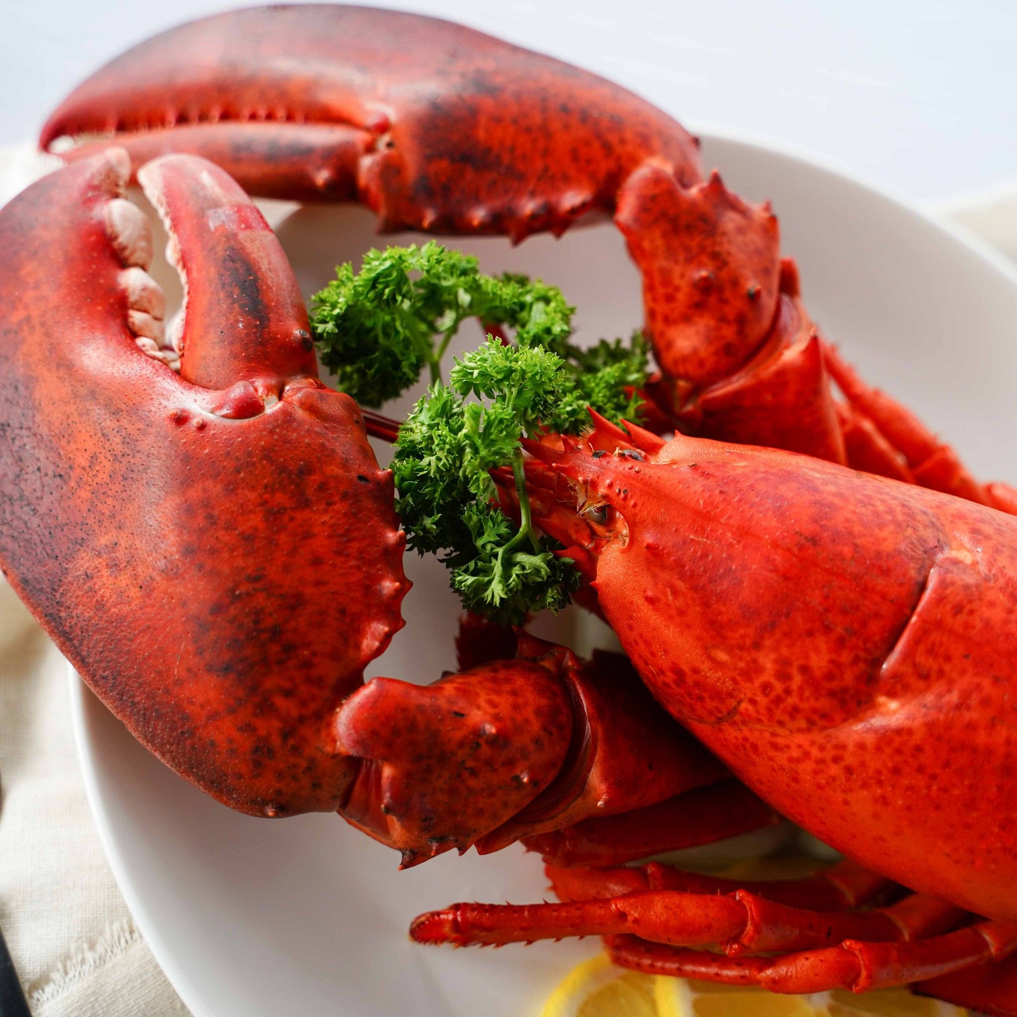 Tôm Hùm Alaska Hấp Tự Nhiên – Lobster Bay