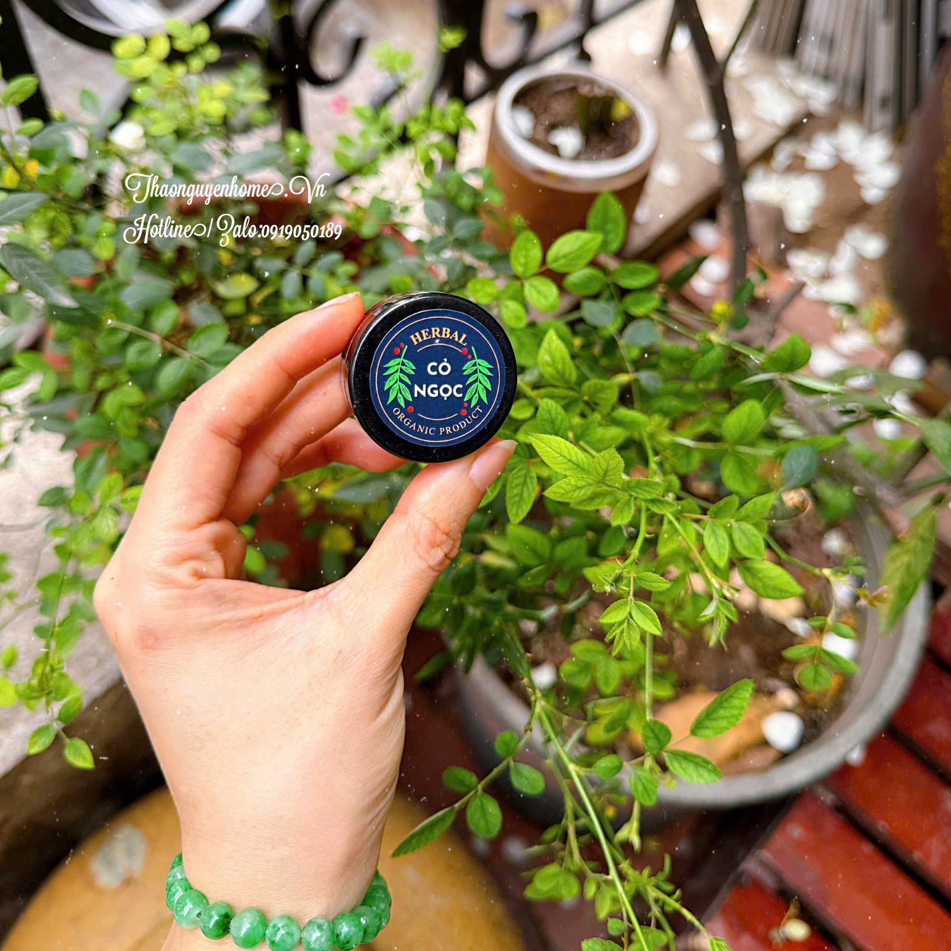 Cao cỏ ngọc – thaonguyenhome