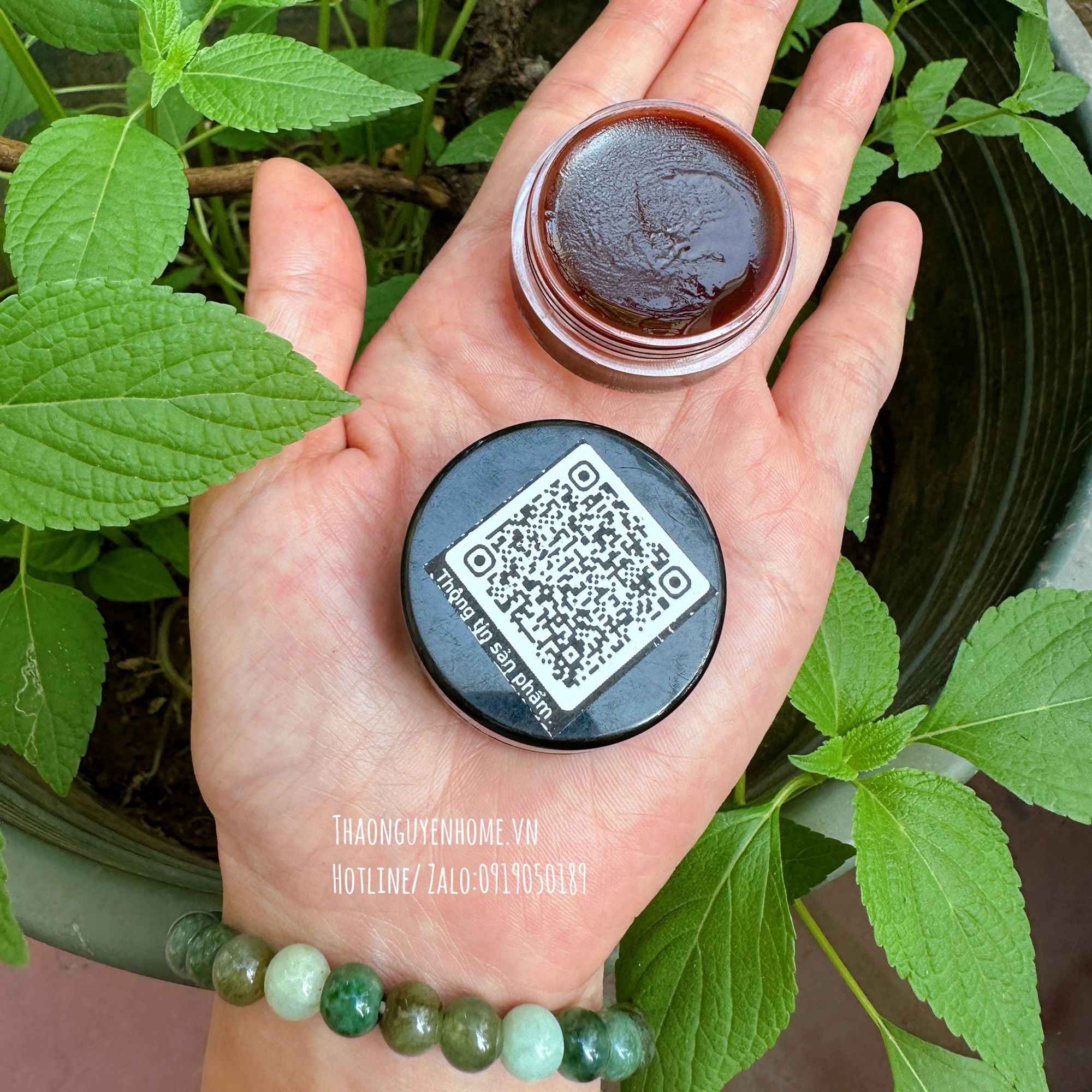 Cao cỏ ngọc – thaonguyenhome